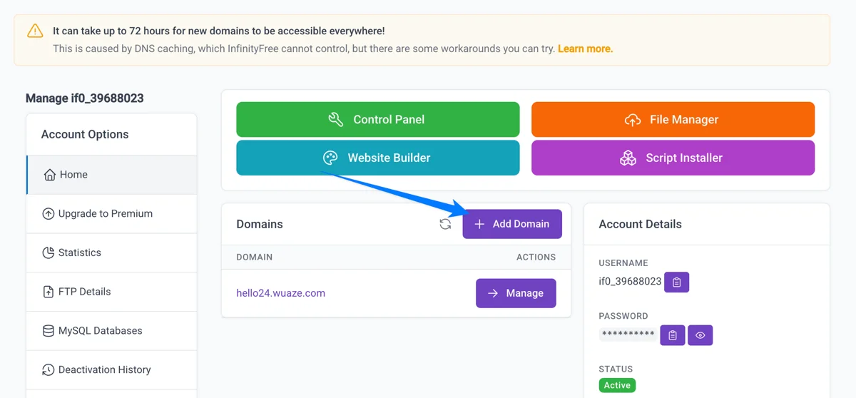 InfinityFree WordPress Hosting: Can You REALLY Use It?