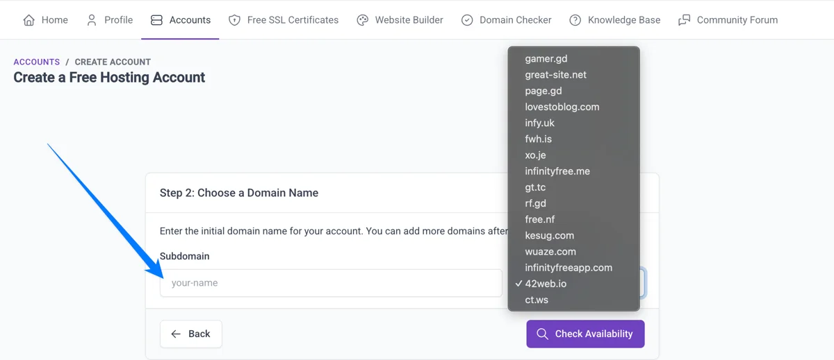 InfinityFree WordPress Hosting: Can You REALLY Use It?